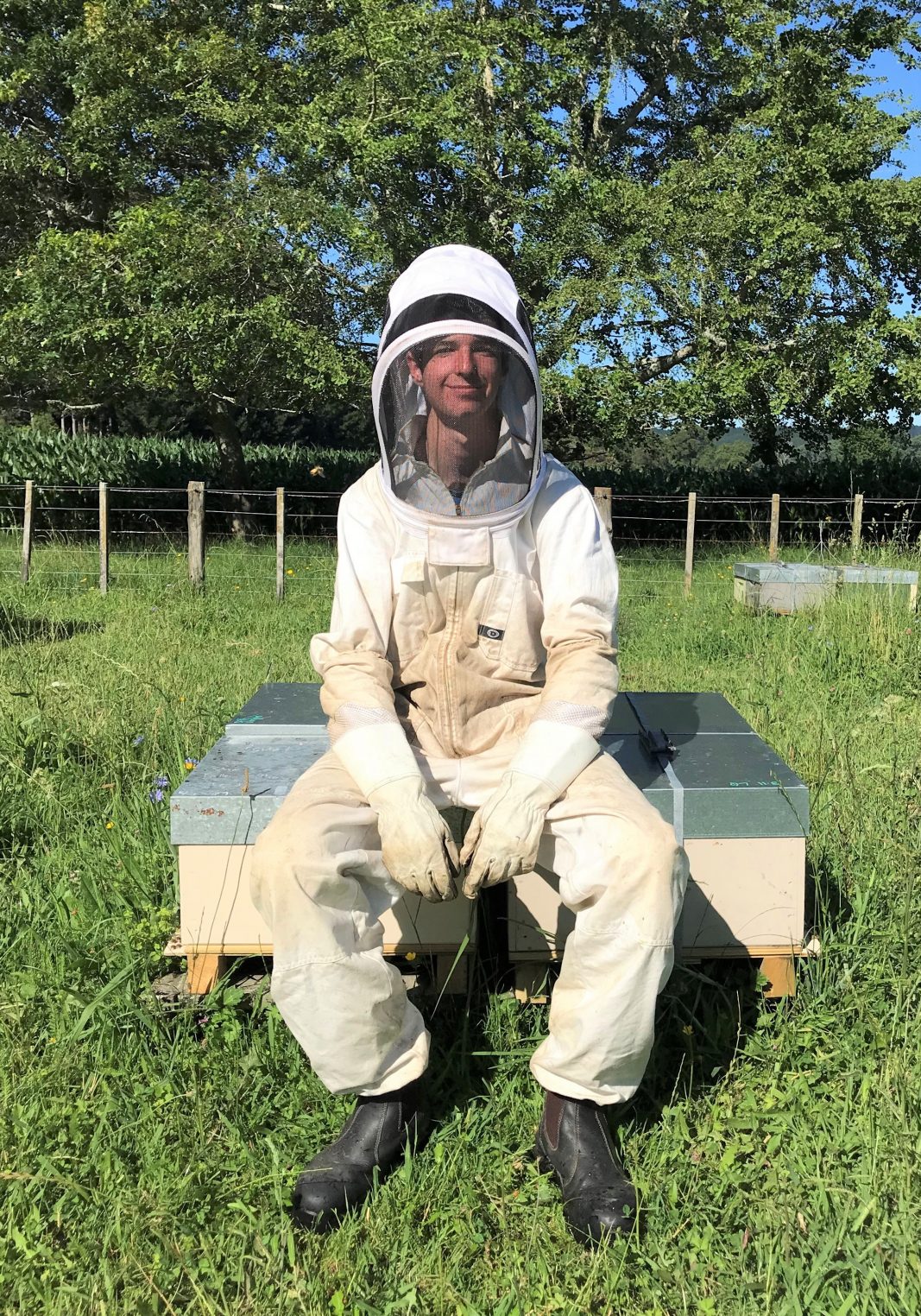 Scholarship gives young people boost into beekeeping career • Food ...