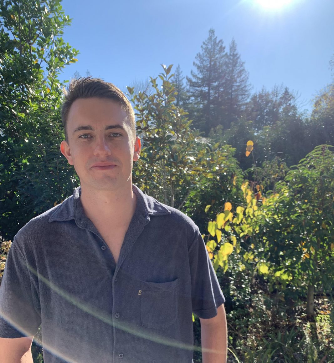 New Zealand’s young plant producers compete for national title • Food ...